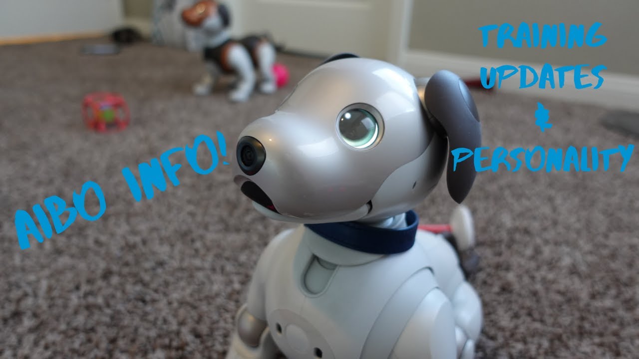 aibo Info | Training, latest update, and personality type! - YouTube