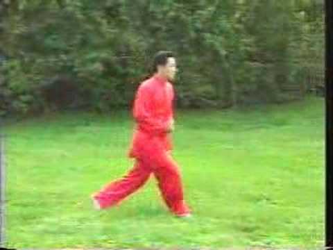 Xing Yi Quan 5 Elements - Li Tai Liang - YouTube