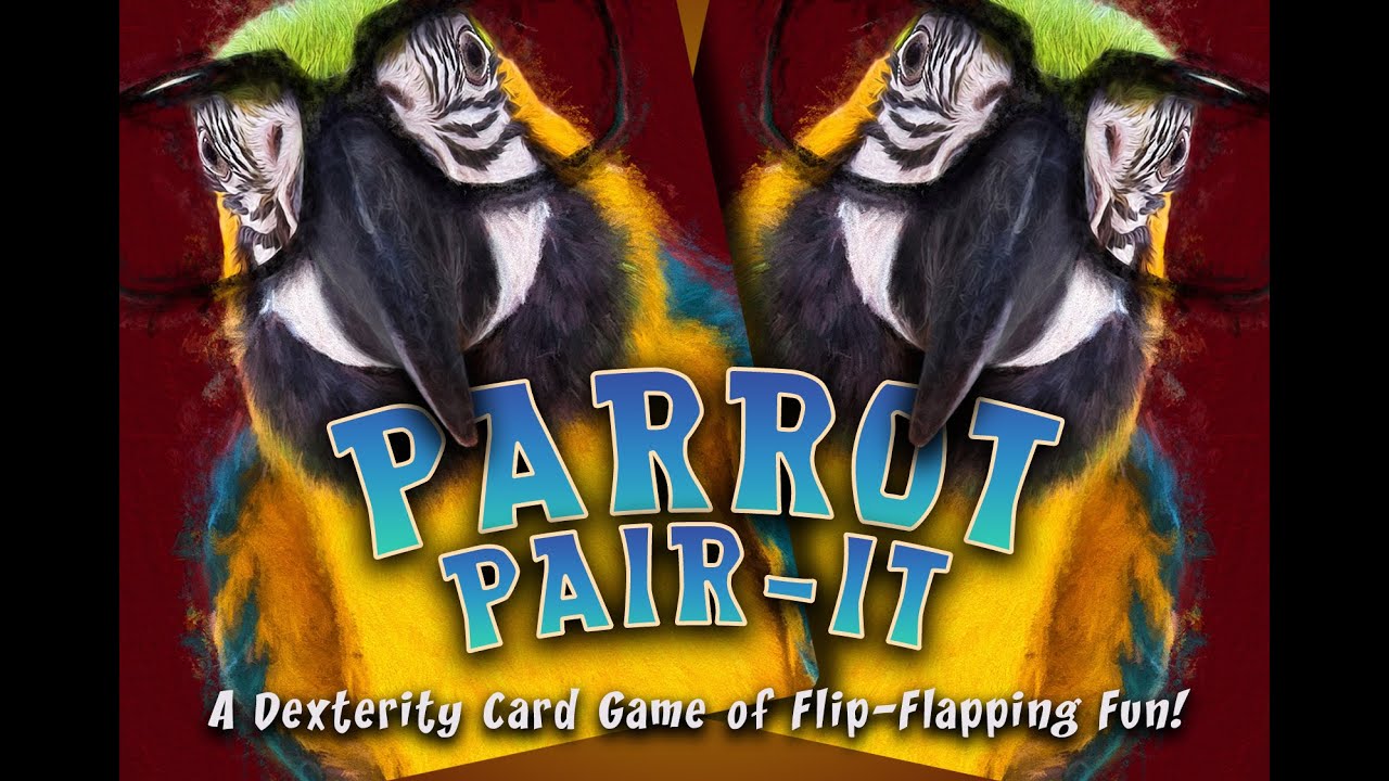 How to Play the Parrot Pair-it Card Came - YouTube