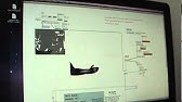 Körpertracking mit Kinect via Max MSP. fhSPACE - FH St. Pölten 2012 - YouTube