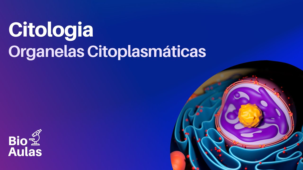Citoplasma e Organelas Citoplasmáticas - Citologia/Biologia Celular (Bio Aulas) - YouTube