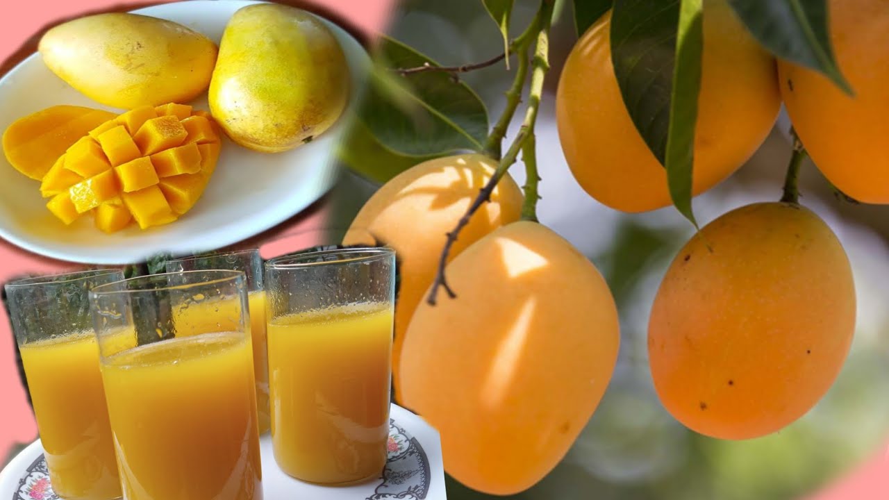 Mango frooti recipe | 3 ingredients mango frooti | Mango summer drink ...