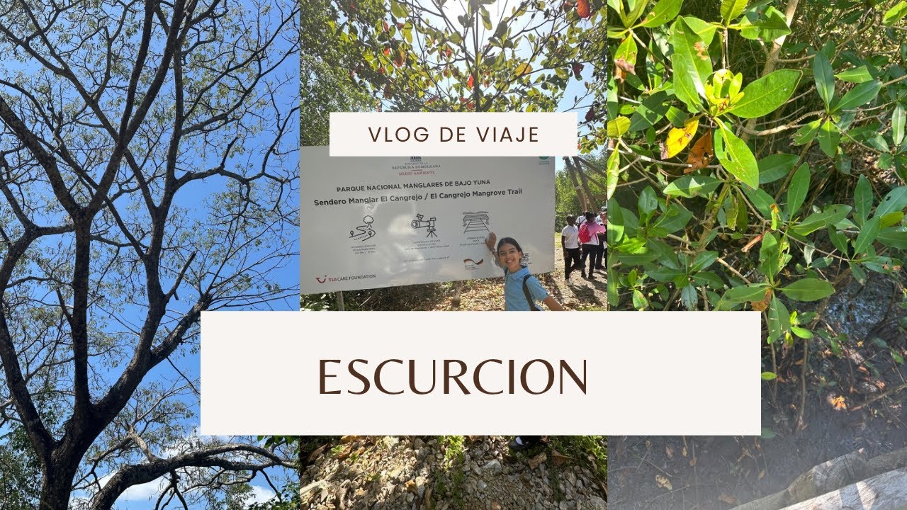 Blog de una escurcion de mi escuela 🪴 - YouTube