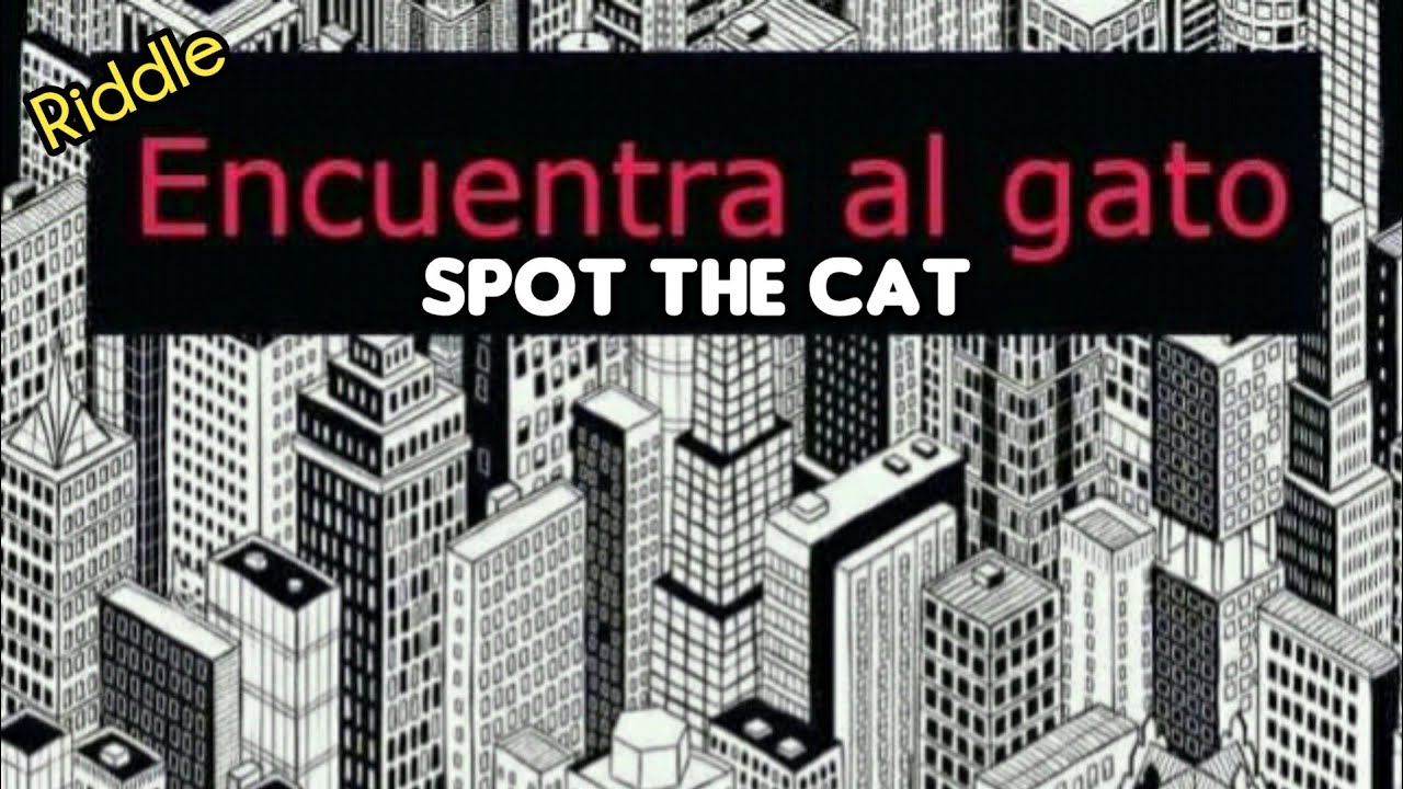Puedes encontrar al gato // can you spot the cat // encuentra al gato ...