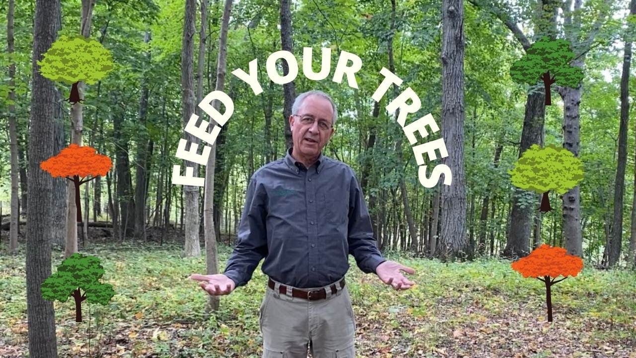 Feed Your Trees! - YouTube