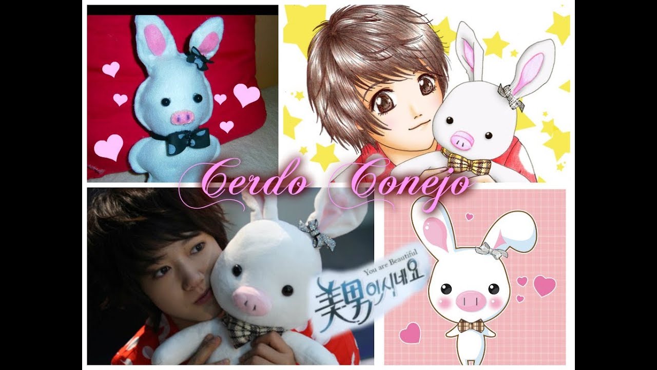 DIY Cerdo Conejo( Dorama You´re Beautiful)/How To Make Pig Rabbit - YouTube