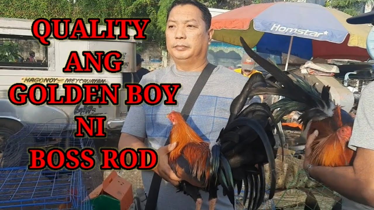 TIANGGEAN NG MGA MANOK SA BOCAUE - YouTube