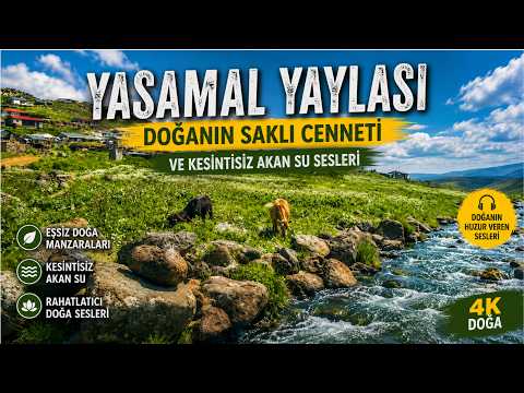 YASAMAL YAYLASI | DOĞANIN SAKLI CENNETİ VE KESİNTİSİZ AKAN SU SESLERİ