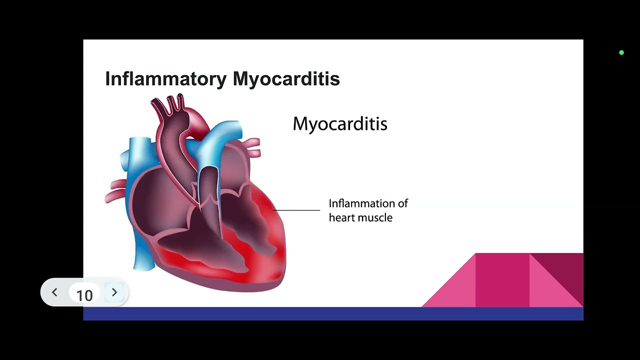 basic of heart disease - YouTube