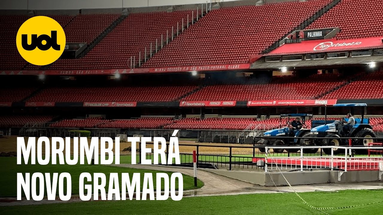 SÃO PAULO: Quanto custa o novo gramado do Morumbi, que será usado após ...
