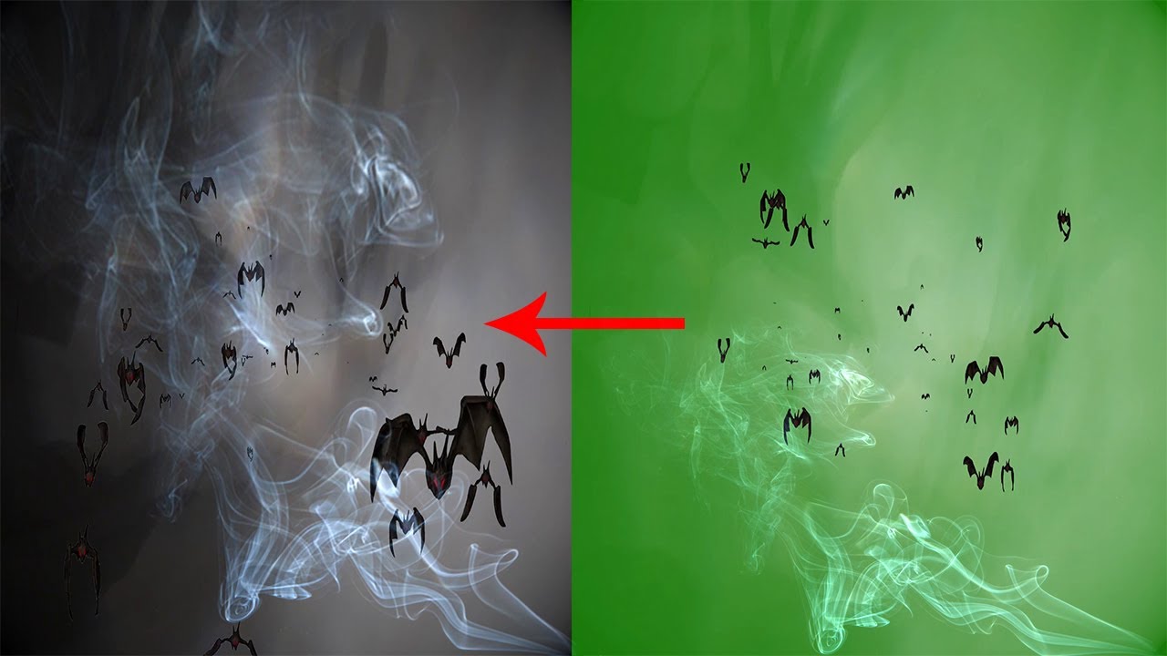 Horror bats smoke green screen video effect creepy scary green screen ...