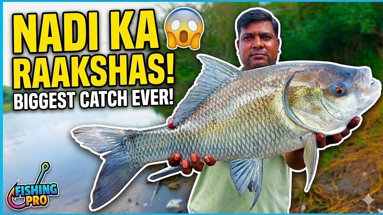 Hook Fishing Techniques | Best Hook Fishing Videos | Big Catal Fish ...