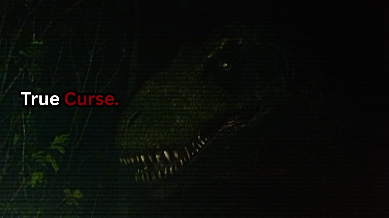 The Cursed Fossil That Scientists Regret Ever Touching... - YouTube