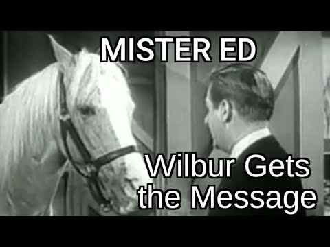 Mister Ed - Wilbur Gets the Message (The Lost Episode) - YouTube