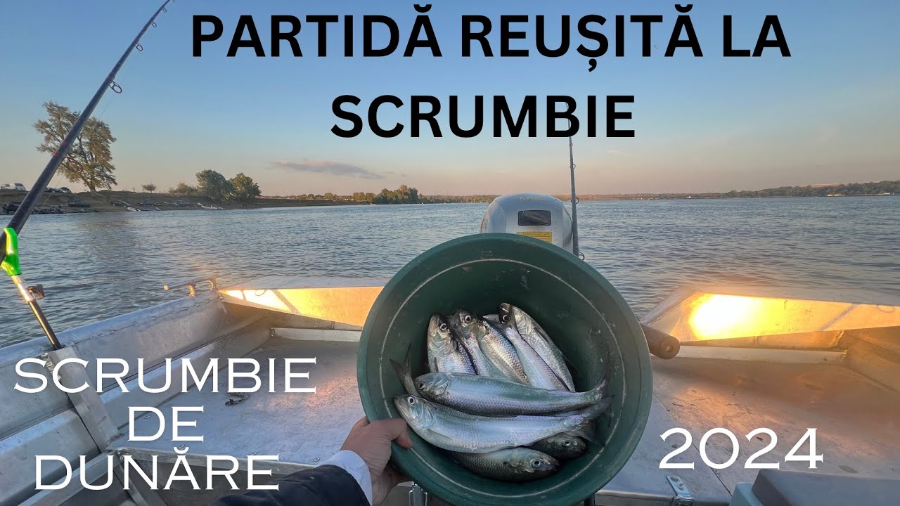 Pescuit la SCRUMBIE pe DUNĂRE! Încă o partidă cu rezultate ...