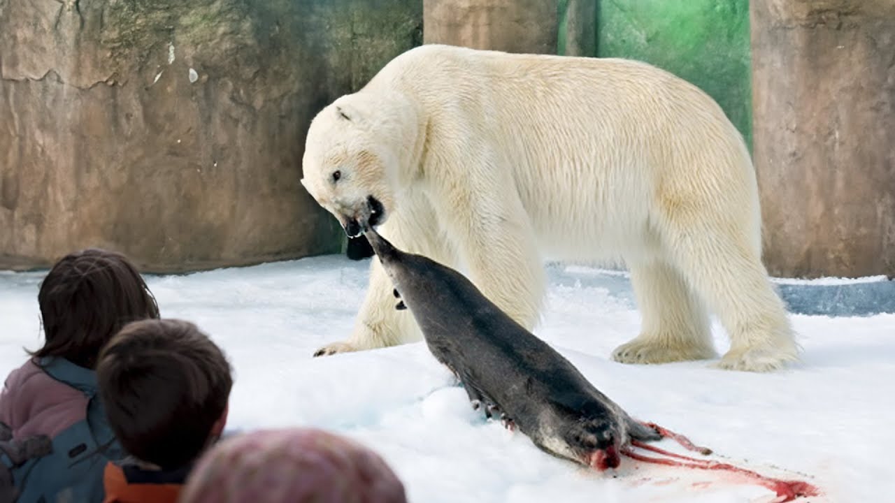 Everyone In This Zoo Thought That These Animals Are Real - YouTube