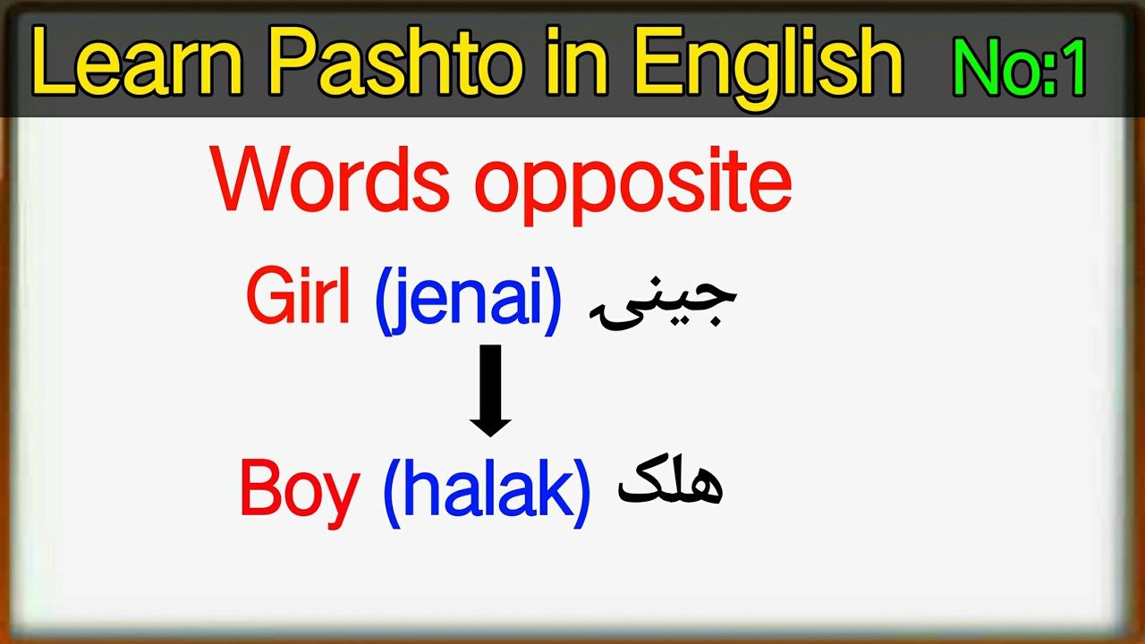 Words opposite of Pashto in English language lesson 1 | learn pashto in ...