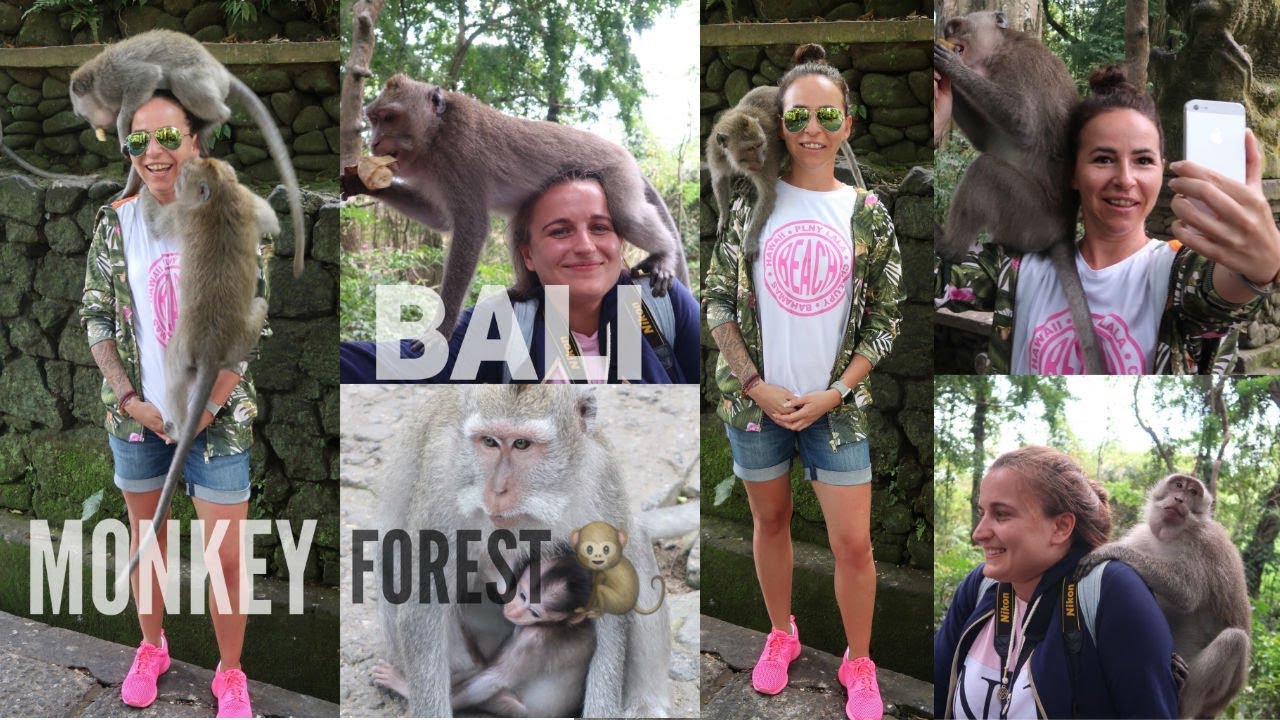 VLOG MONKEY FOREST BALI | OKRADLI NAS - YouTube