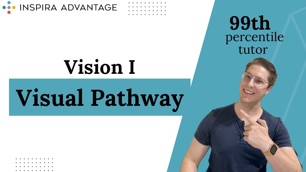 Eye Anatomy & the Visual Pathway Explained | MCAT Crash Course - YouTube