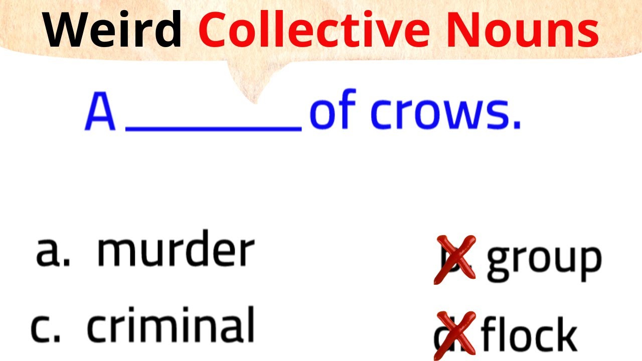 Weird Collective Nouns from the English Language - YouTube