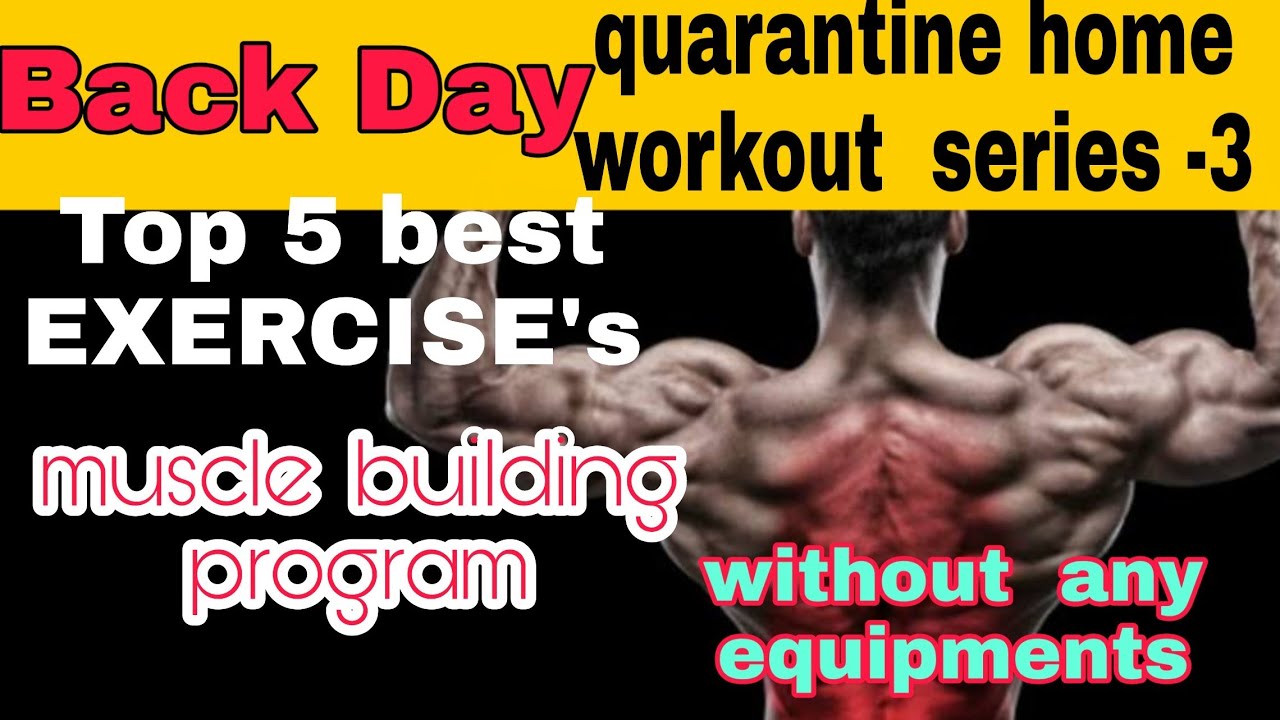 Back workout at home in quarantine period |Best muscle building workout ...