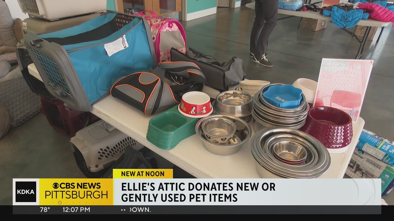 Humane Animal Rescue of Pittsburgh holds pet supply distribution event ...