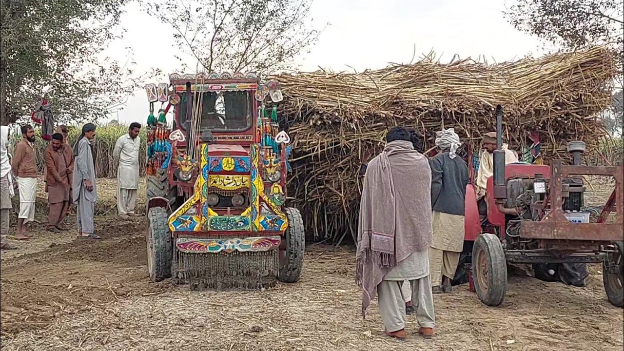 A tractor trolley full of sugarcane got stuck badly and all the ...