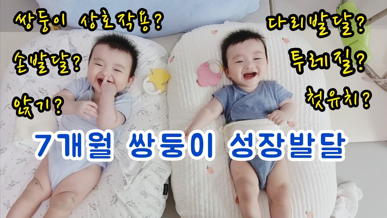 7개월 쌍둥이아기 성장발달👶손발달 다리발달 쌍둥이 상호작용첫유치 투레질 웃음소리 스스로앉기 쌍둥이 브이로그