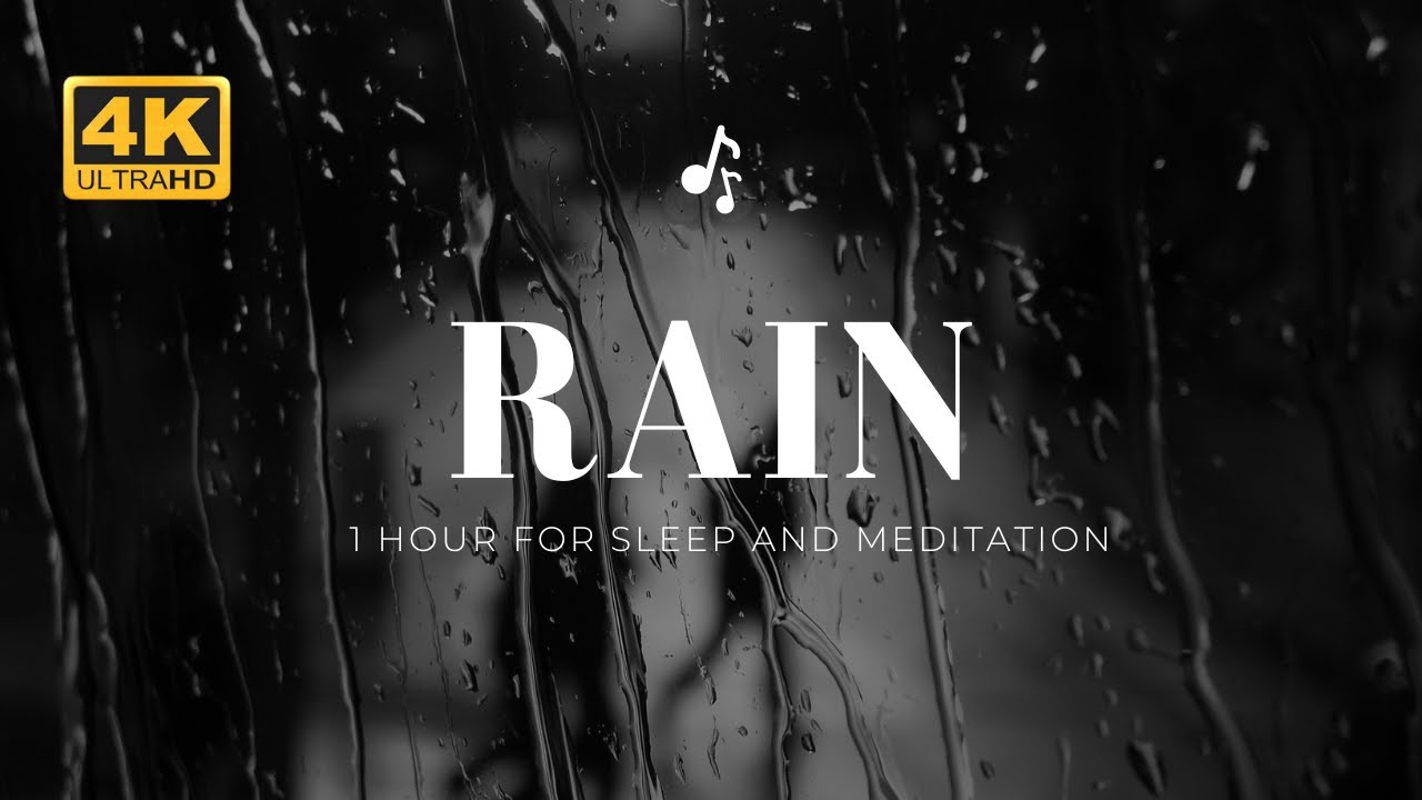 1 Hour Deep Forest Rain • Cozy Nature Sounds for Studying and Sleep ...
