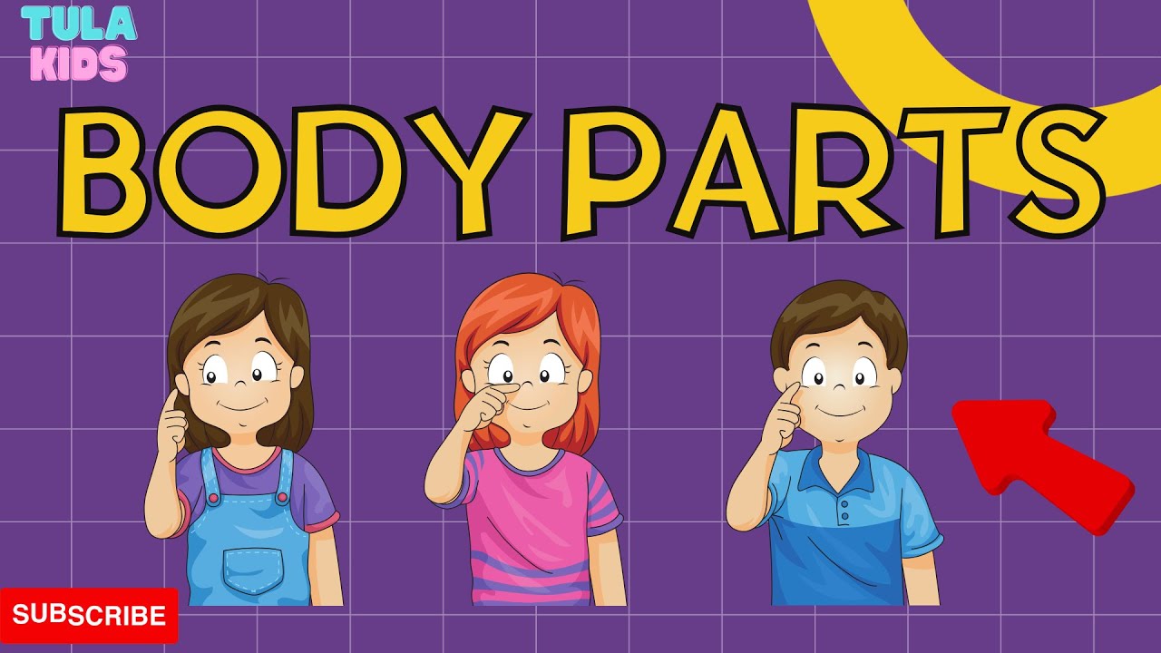 The Body Parts | learn parts of body Name For KIds - YouTube