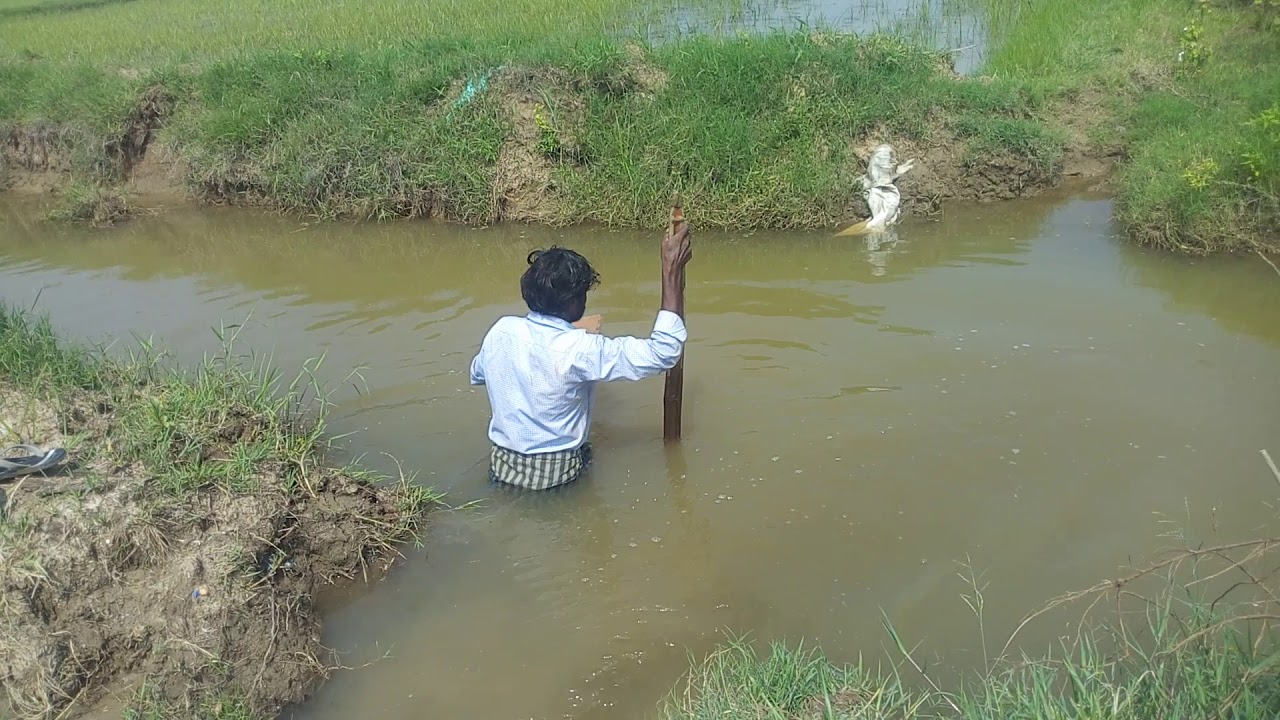 This man searching for gold in water - YouTube