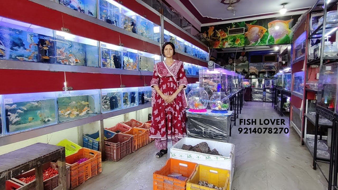 Fish lovers Aquarium Fish Shop Full Tour | part 1 | Tk pets | One stop ...