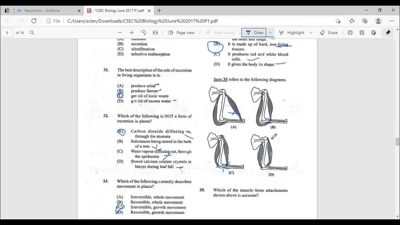 CXC/CSEC Biology 2017 Past Paper part 2 - YouTube