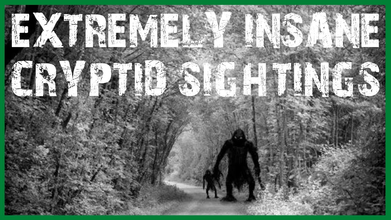 25 EXTREMELY INSANE SCARY CRYPTID SIGHTING HORROR STORIES - YouTube