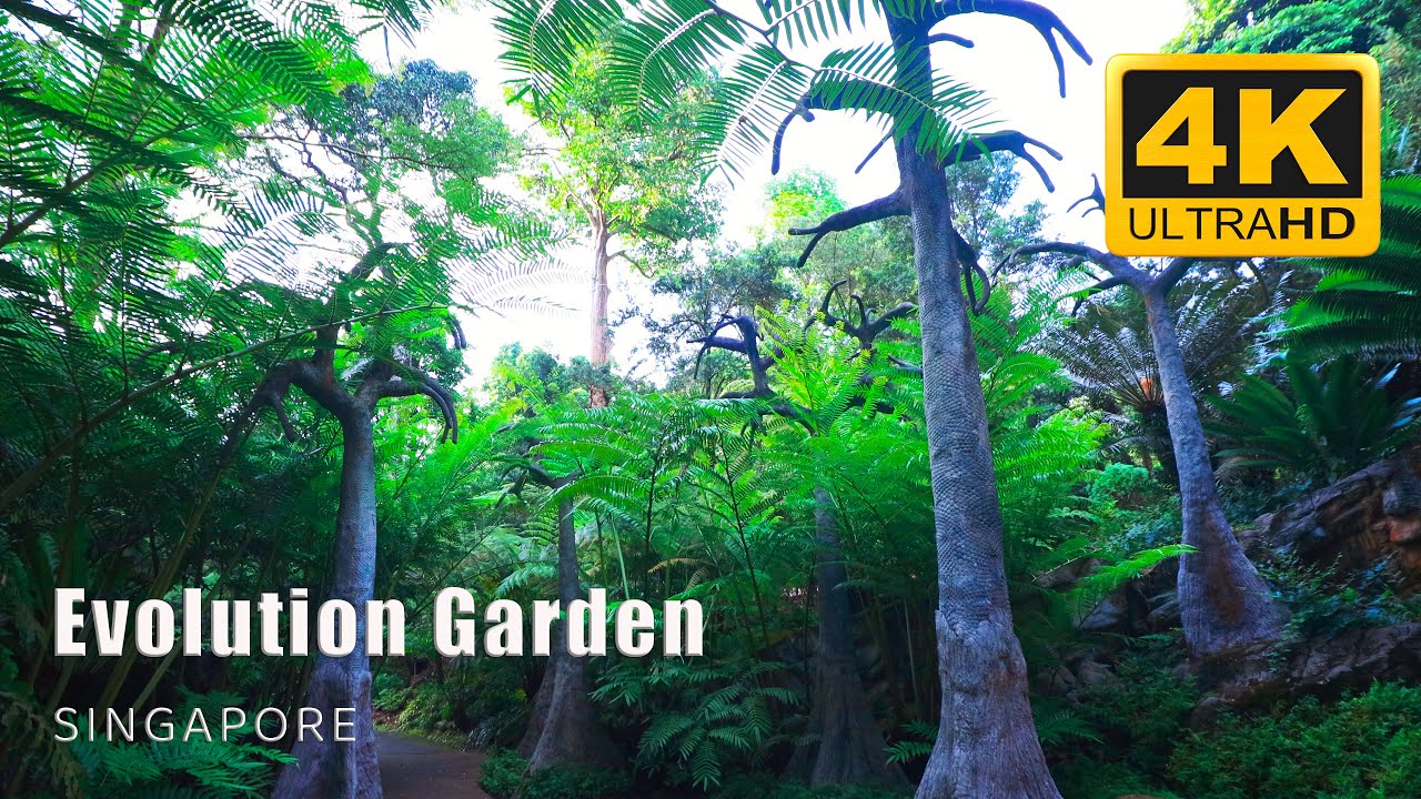 4K Virtual Forest Walk in Evolution Garden with Nature Sounds｜Walking ...