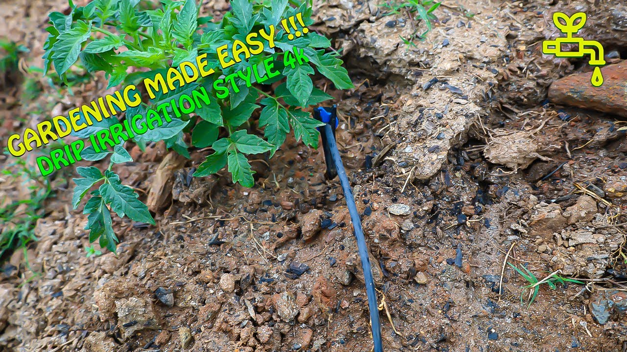 GARDENING MADE EASY !!! DRIP IRRIGATION STYLE 4k - YouTube