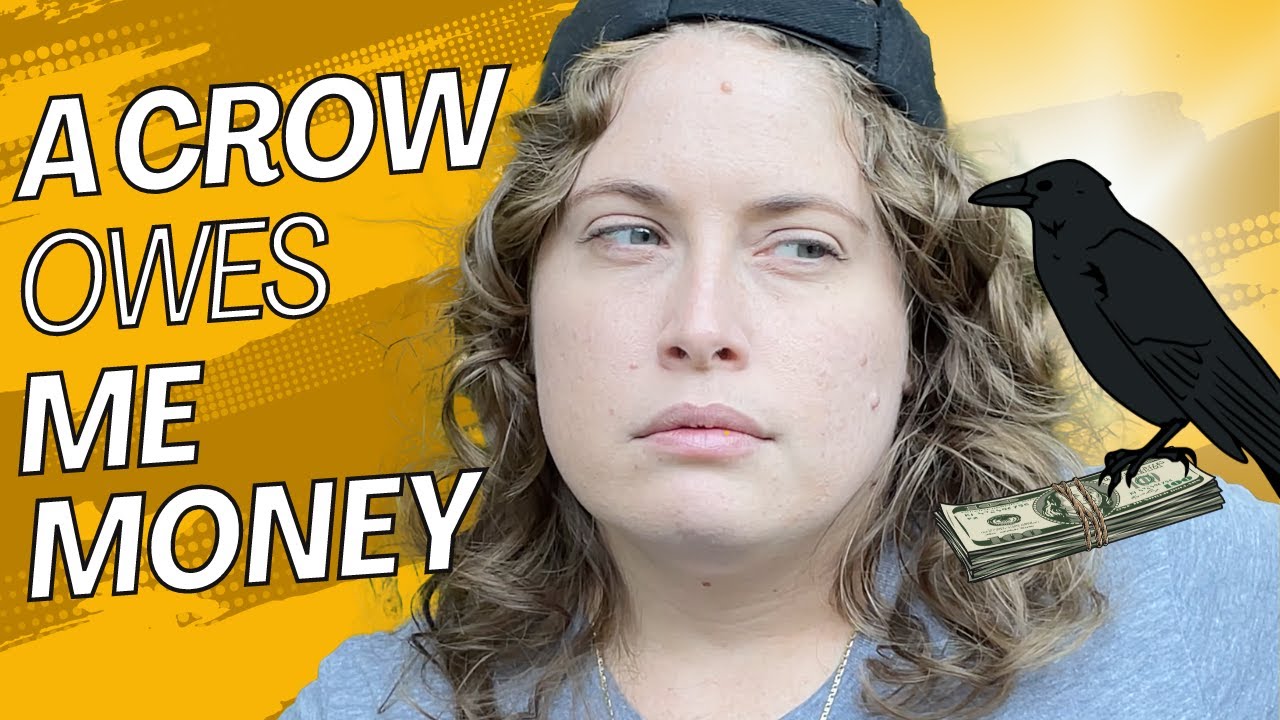 a crow owes me money || MIUM - YouTube