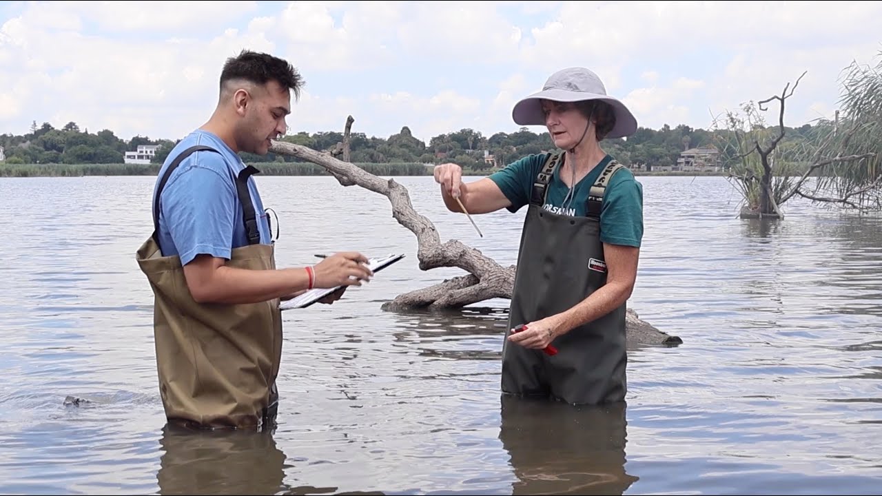 About Korsman Conservancy - YouTube