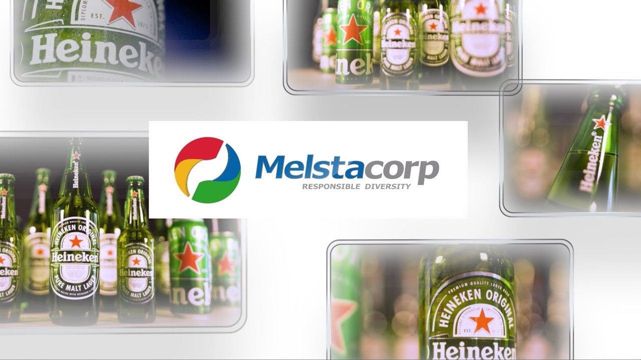 MELSTACORP INVESTOR PROFILE 2024 - YouTube