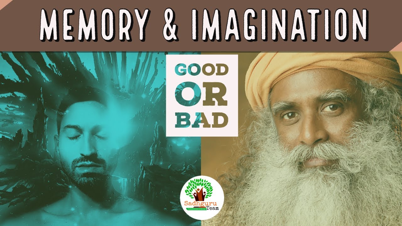 Memory & Imagination- Good or Bad - YouTube