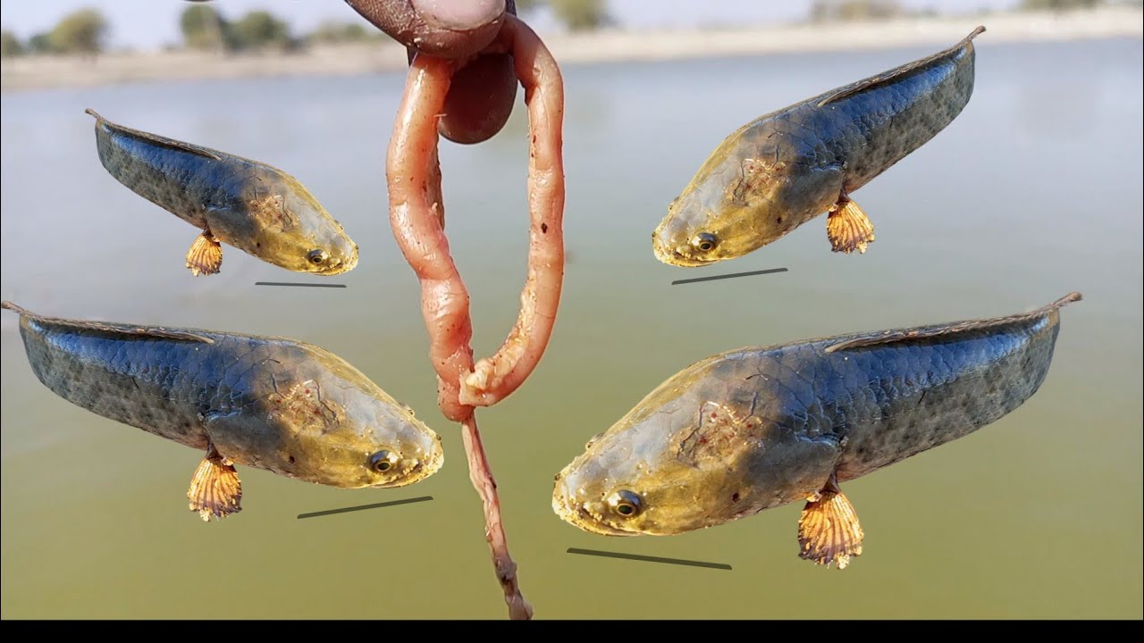 unique And Easy Fishing Tricks - YouTube