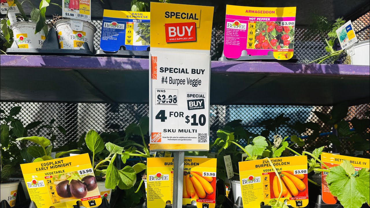 🪴 Home Depot Plant Clearance Sale | Huge Deals on Indoor & Outdoor ...