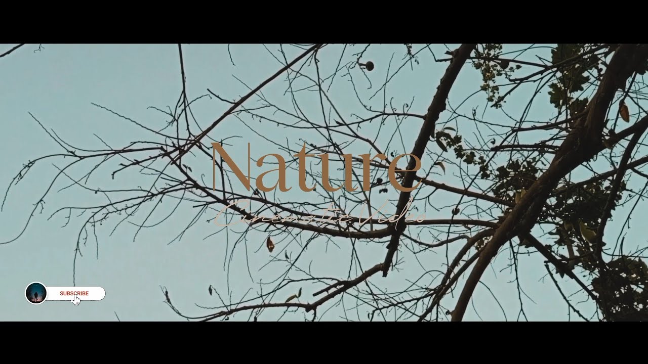 Cinematic Nature Video | Shot On Realme | Relaxing Nature Video - YouTube