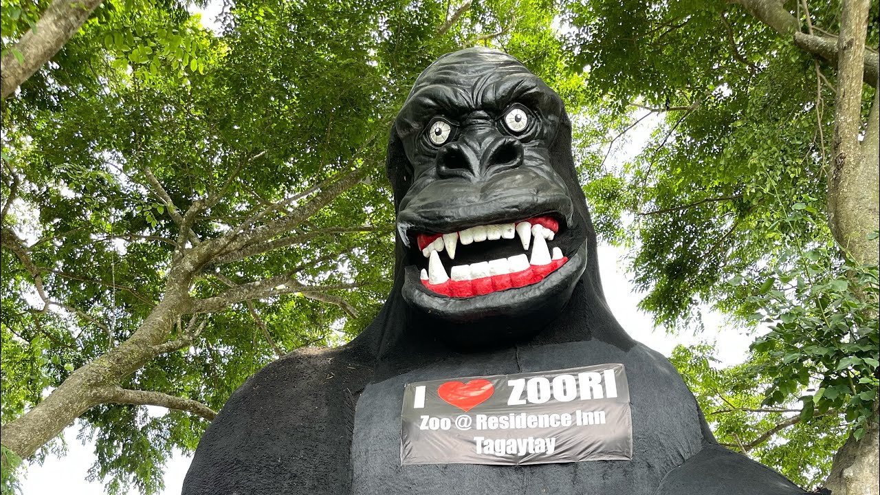 Zoori [ TAGAYTAY CITY ] #tagaytay #zoori #skyranchtagaytay - YouTube