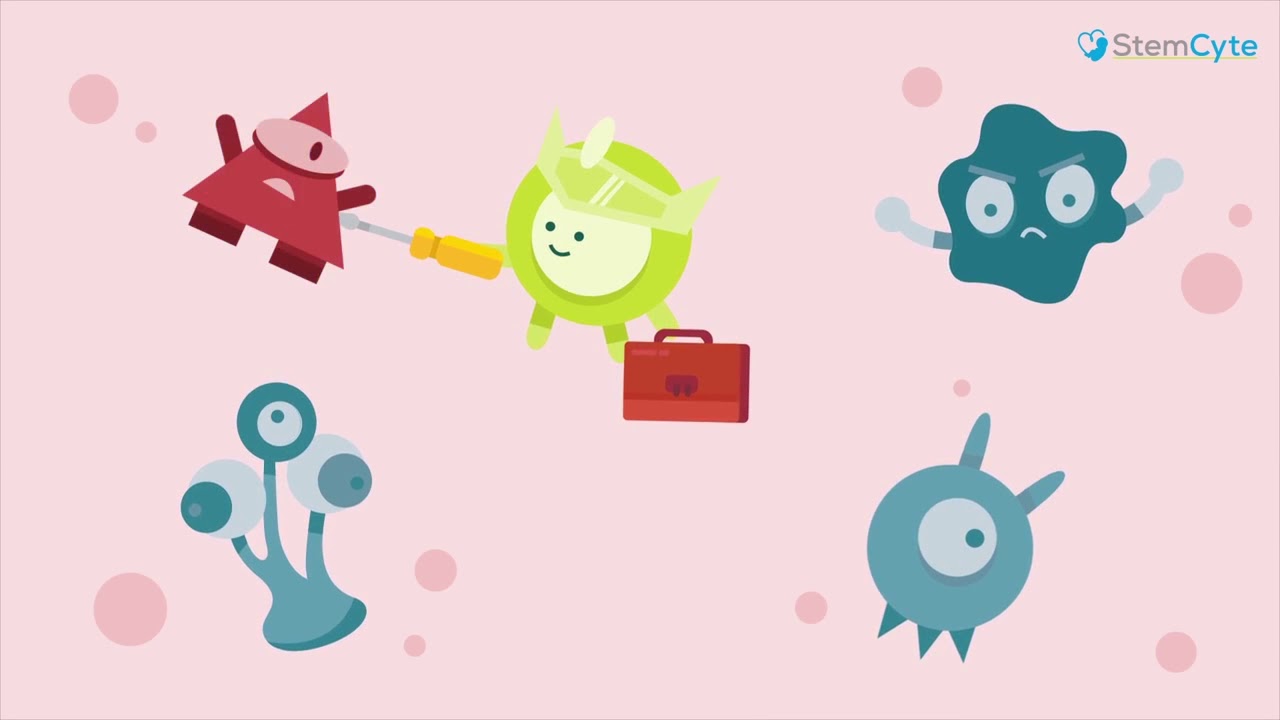 What are Cord Blood Stem Cells - Stemcyte - YouTube