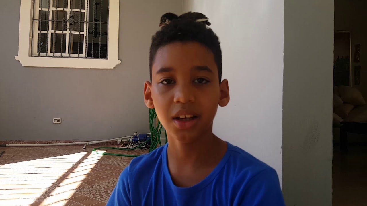 Mis pollos lindos - YouTube