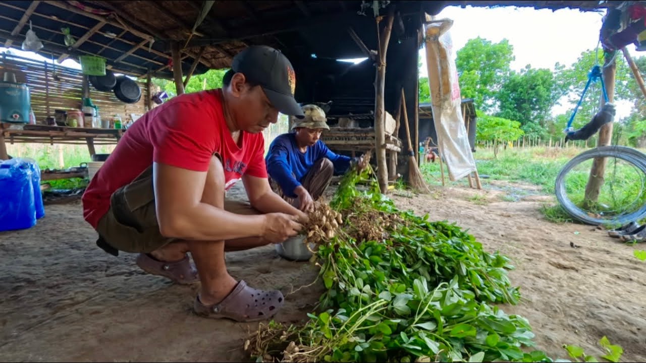 ITO ANG PABORITO NAMIN NI HENYO - YouTube
