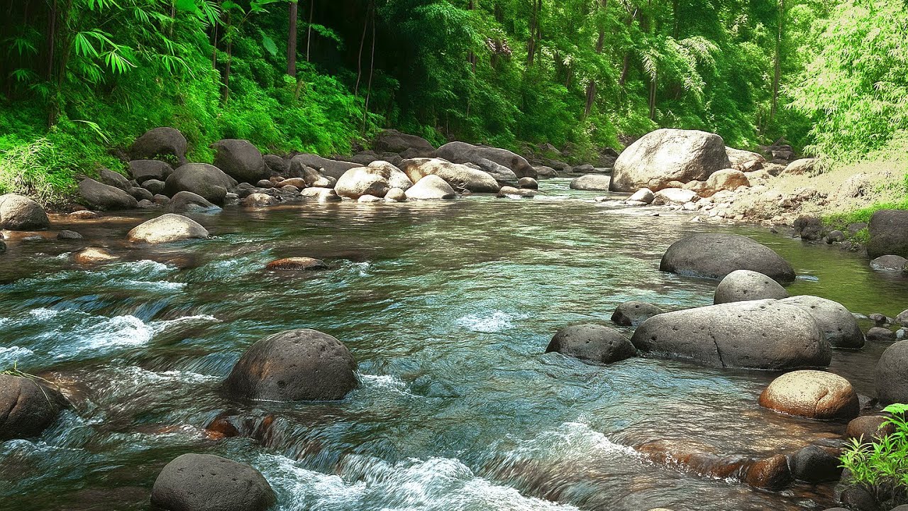 Rushing River Through the Rainforest – Intense Stream Sounds to Awaken ...