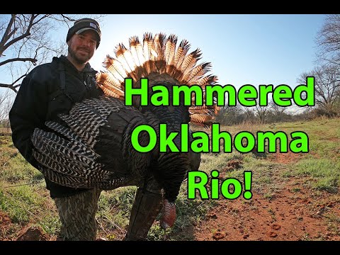 Hung-Up, Hard-Gobbling Oklahoma Turkey Face Plants - YouTube
