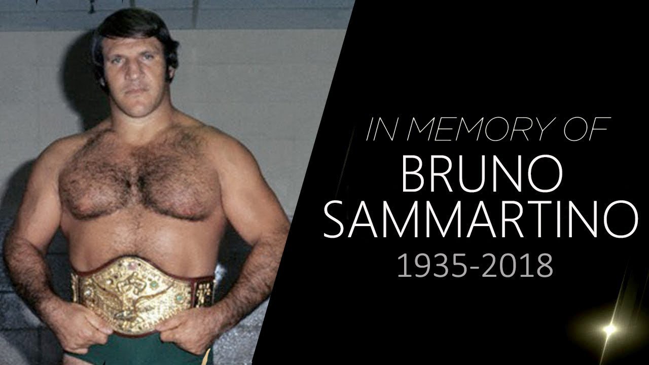 'The Living Legend' Bruno Sammartino RIP || In Memory of Bruno ...